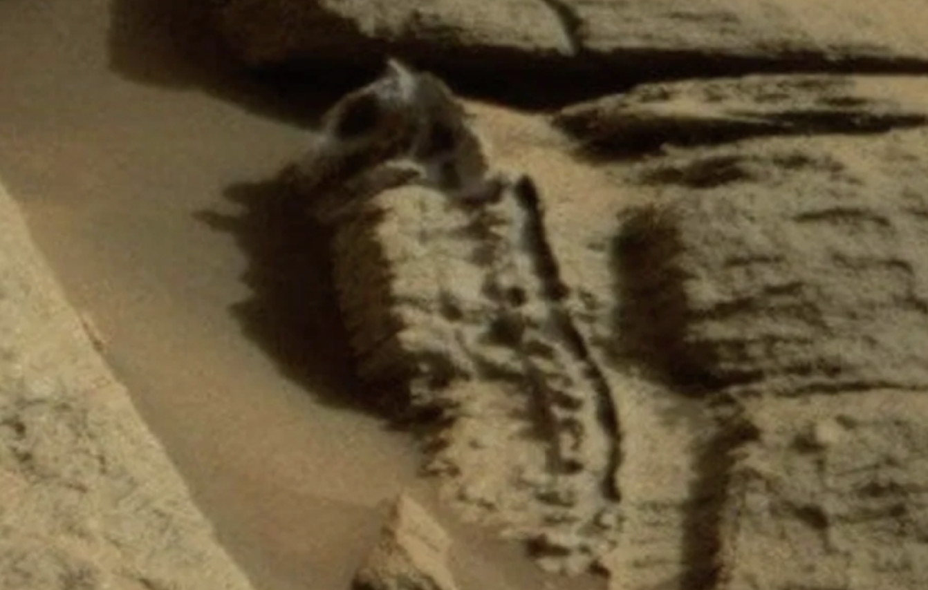 Forget Water on Mars: A Strange Fossilized Dinosaur Was Found on the ...