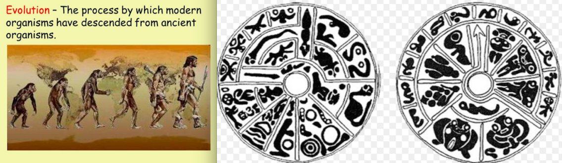 6000-Year-Old The “Genetic Disc” revealed advanced knowledge that can ...